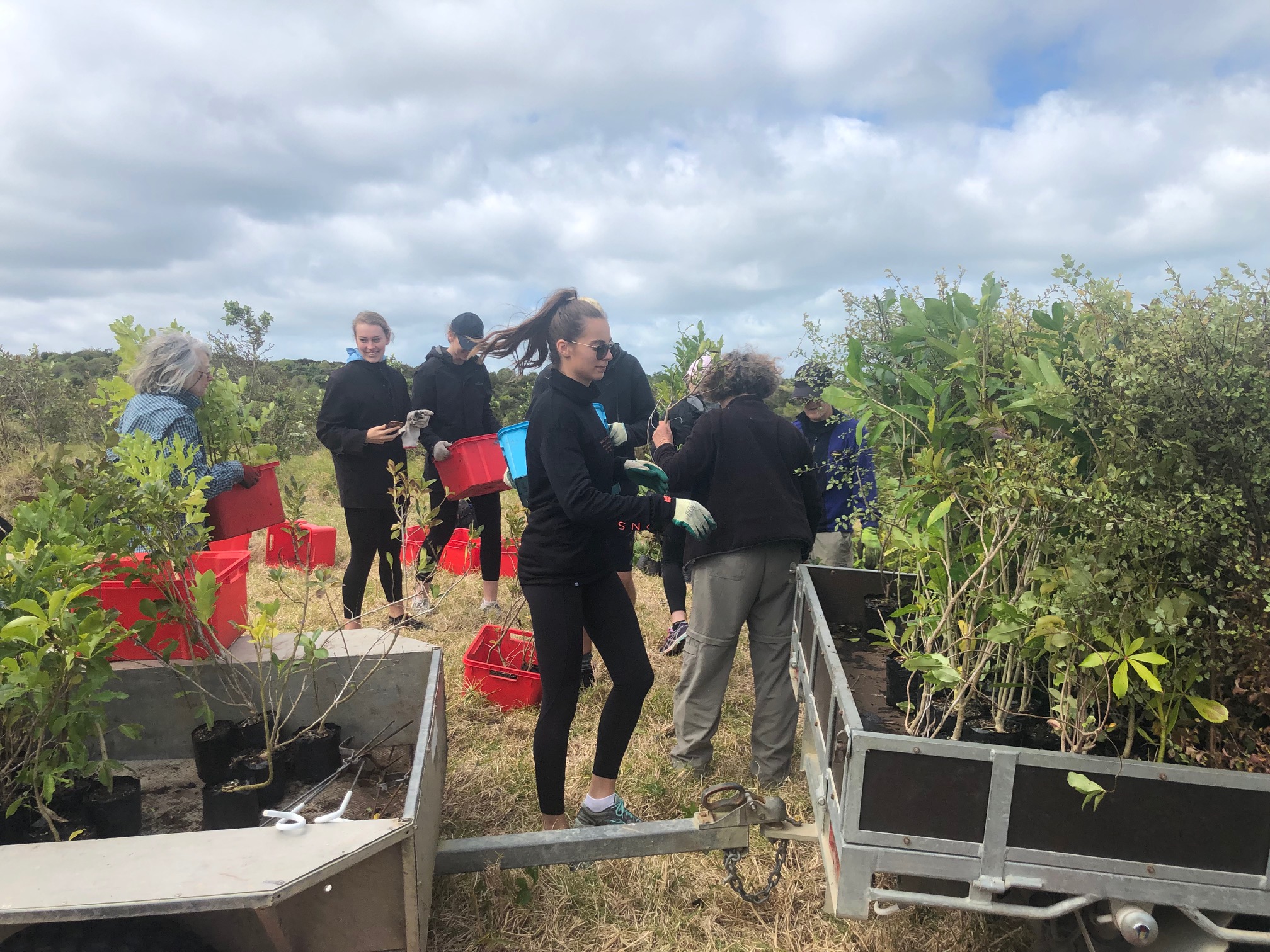 2019 Motutapu native tree planting day| Anderson Lloyd